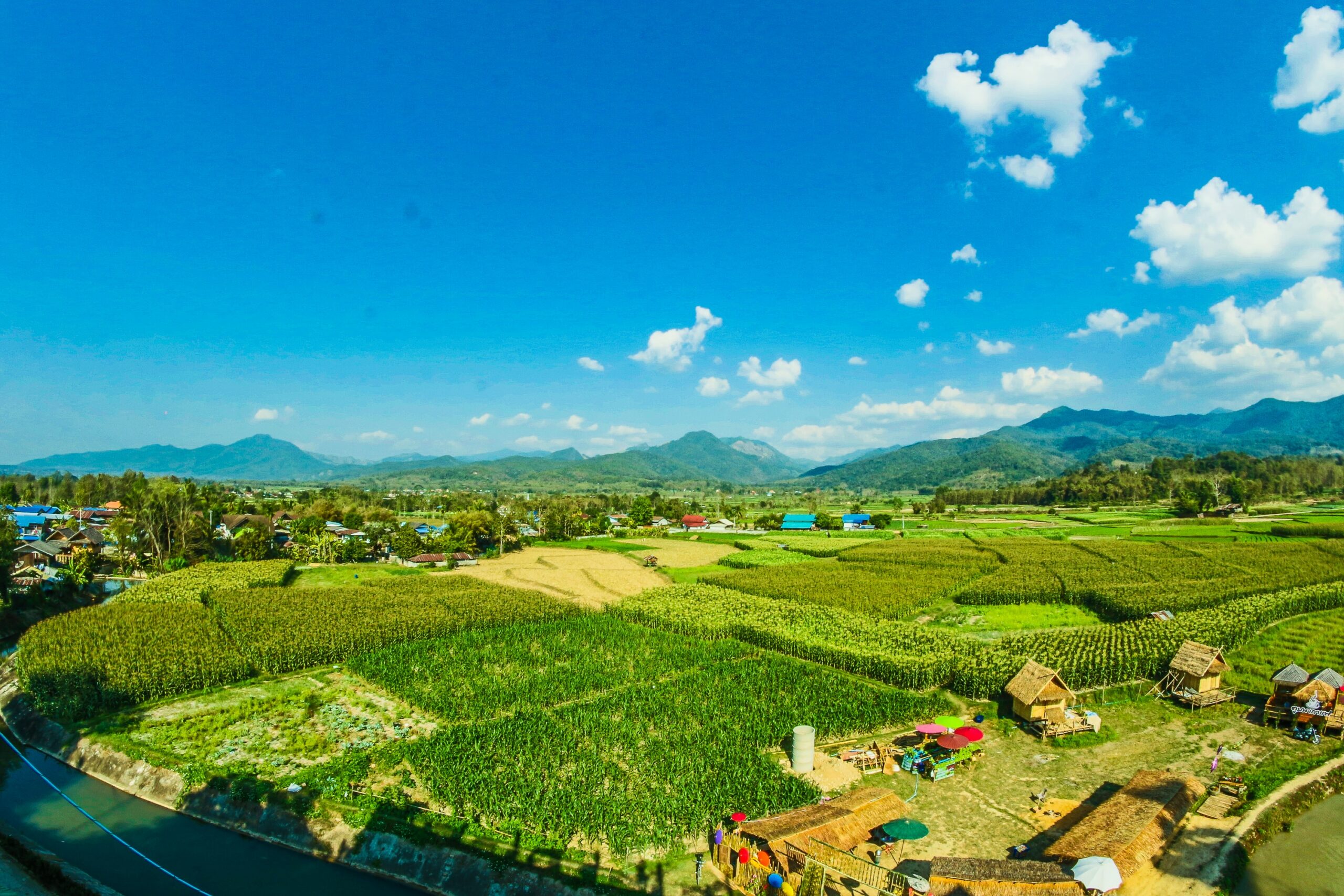SUTTI: Training to Unite Agricultural Value Chains