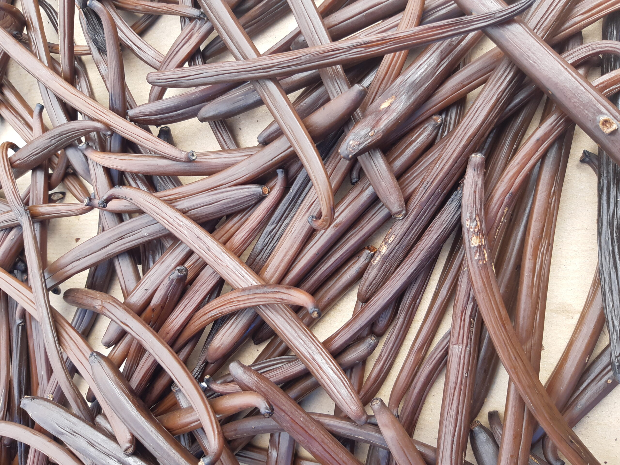 Madagascar Vanilla: Transforming Supply Chain Value